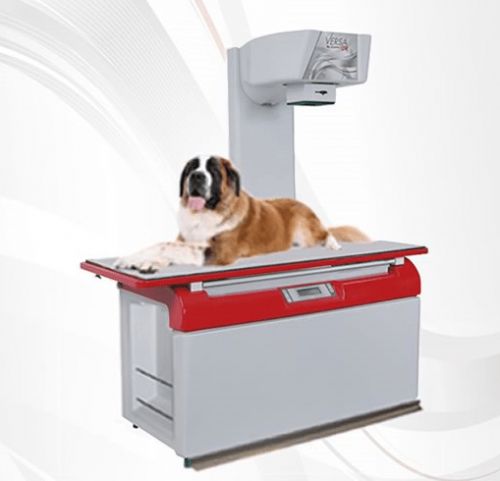 Summit InnoVet Versa DR | Kalamazoo X-Ray Sales